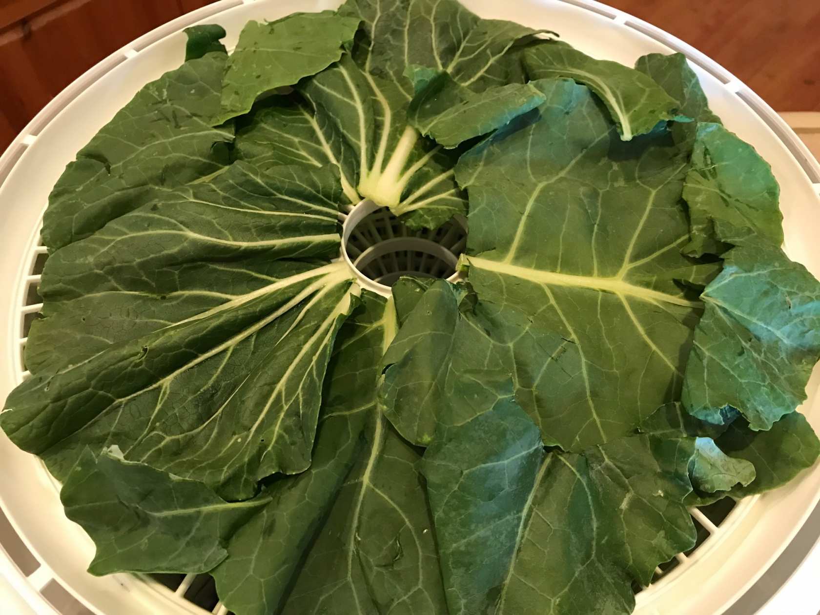 How To Make Your Own Greens Powder - Sage Mountain Farm