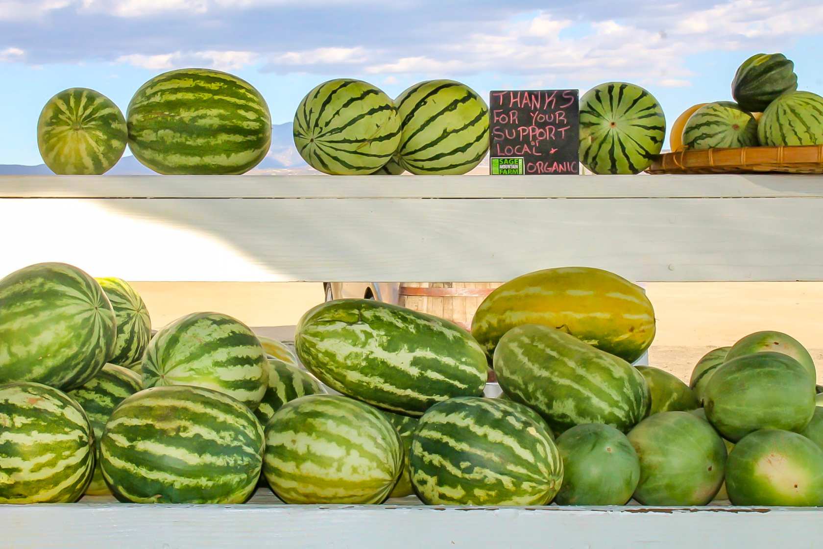 How to Choose the Sweetest Watermelon - Sage Mountain Farm