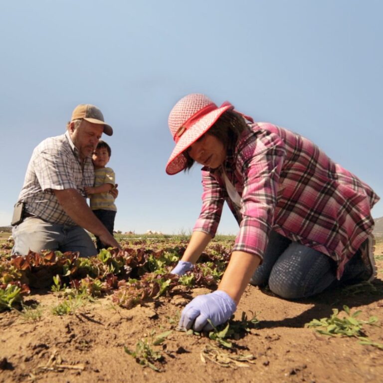 Sage Mountain Farm - Regenerative Family Farm - Wholesome Food From ...